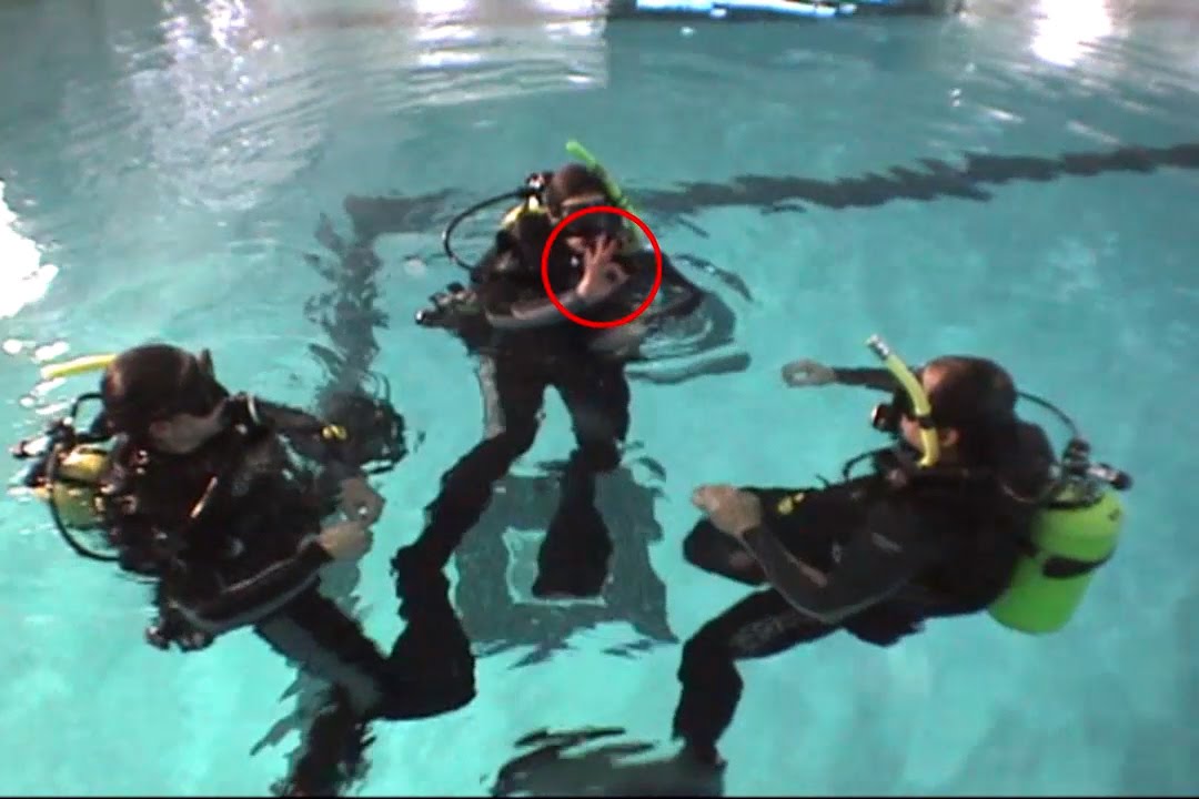NOAA Diver: Check Out Skills Part 5 - Controlled Descent - YouTube