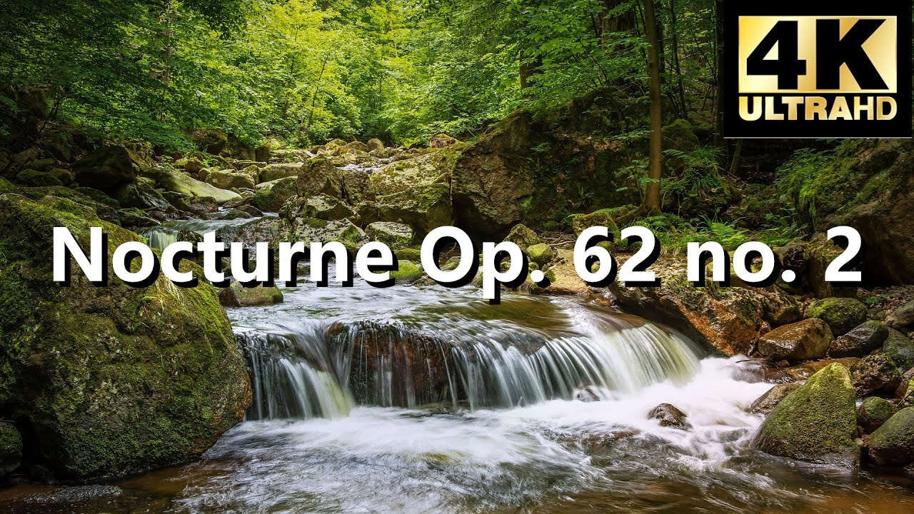 The Best of Chopin / 4K Nature Video Ultra HD / ASMR Piano Classical ...