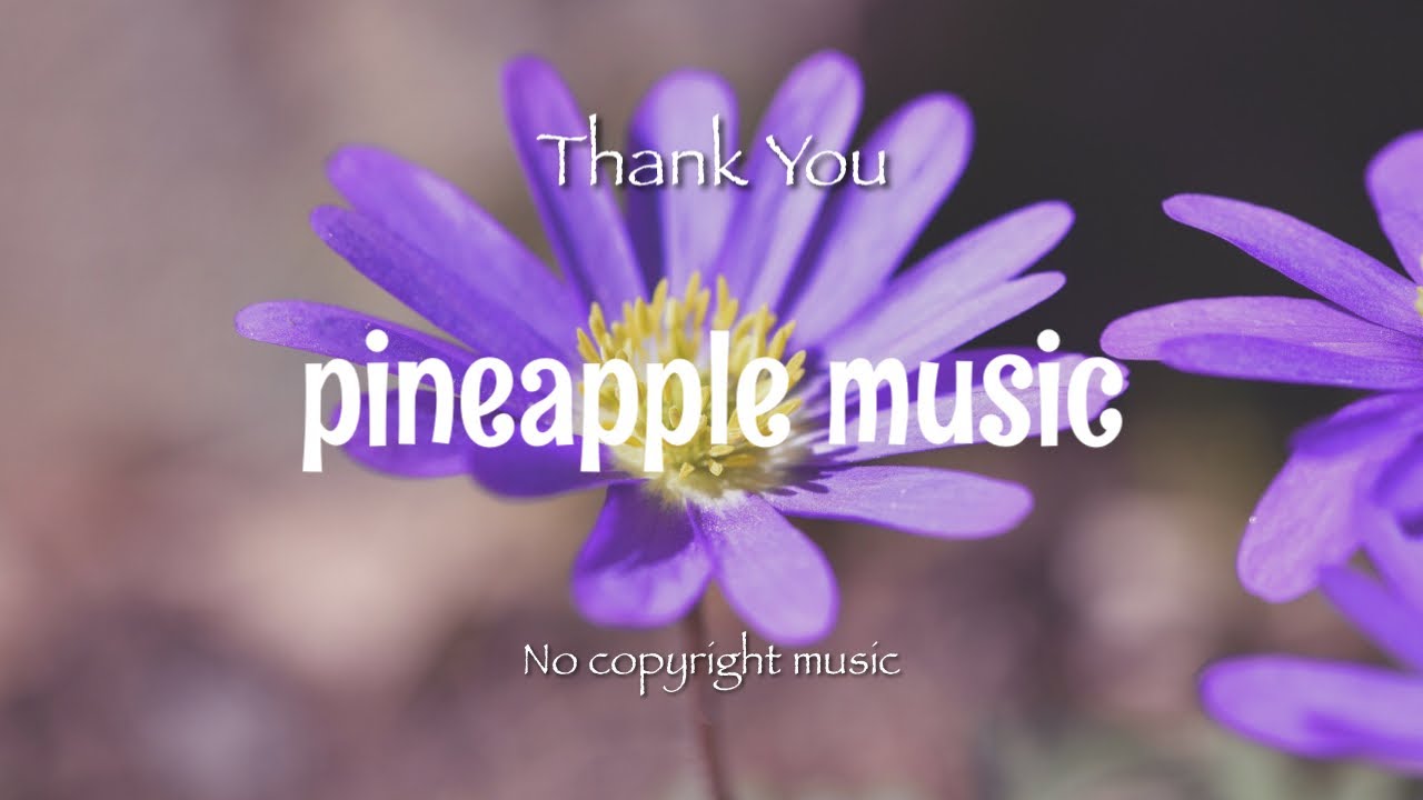 【Thank You】No copyright music 著作権フリー - YouTube