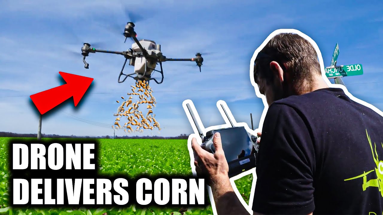 Drone Takes Corn Out & Sprays Small Food Plot - YouTube