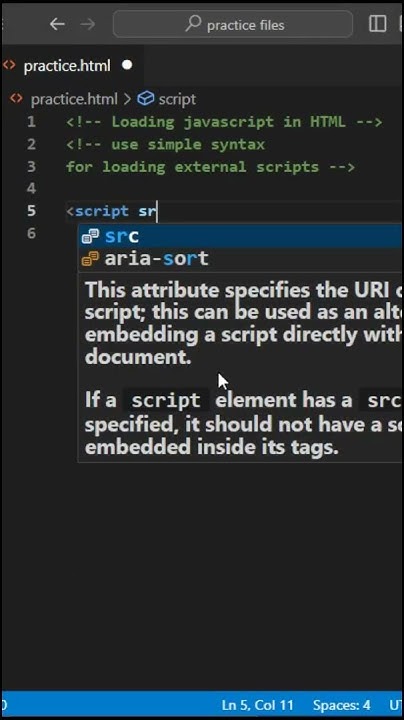 Loading javascript in HTML |#html #coding #programming #webdevelopment #code #frontend - YouTube