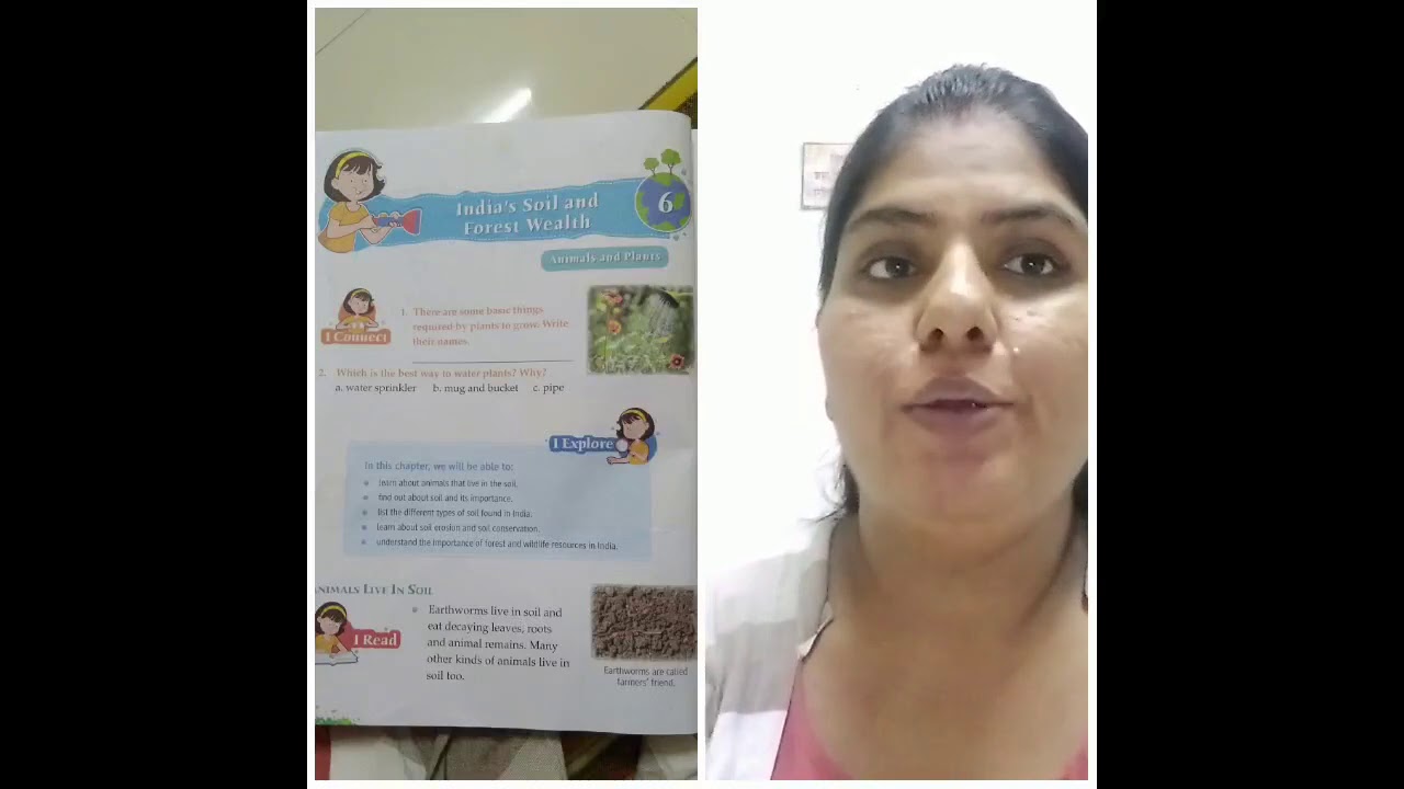 Class 4| Social Studies| India's soil and forest wealth| Part-1 - YouTube