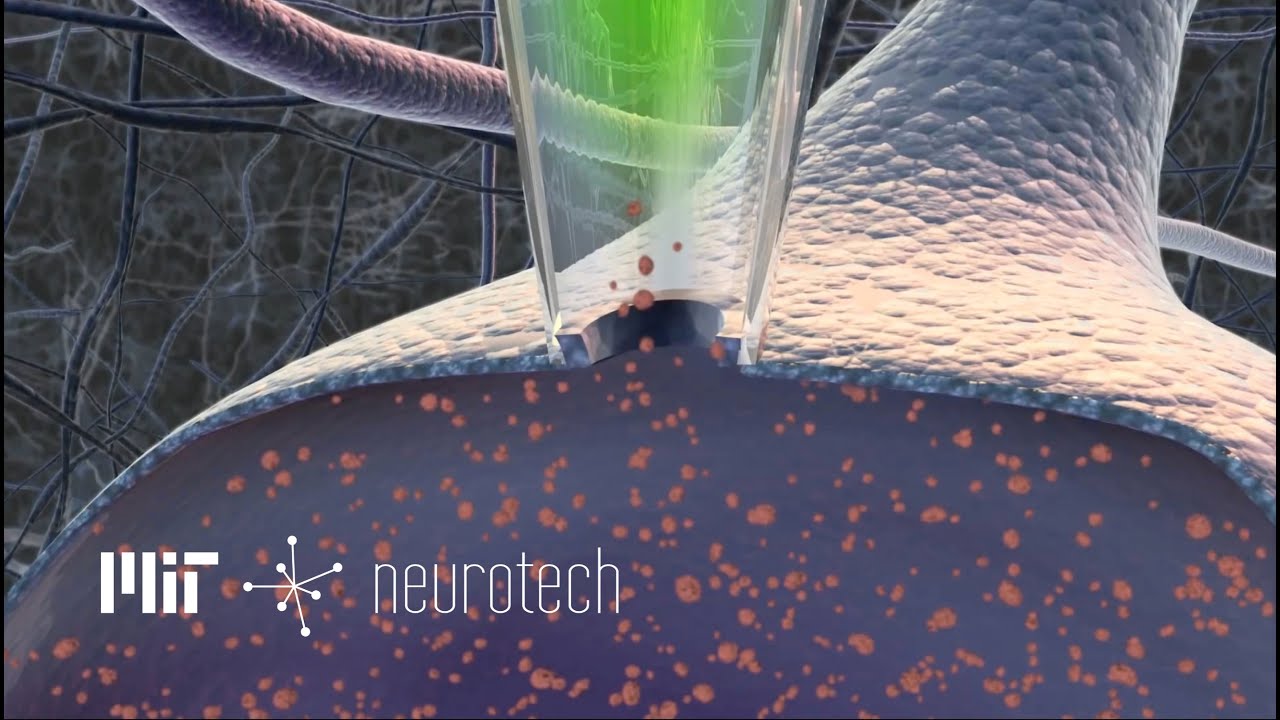 Neurotech 5: Tapping into Neurons (Autopatching) - YouTube