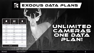 Exodus Cell Camera Data Plans Explained! Shared Data Plans | Doovi