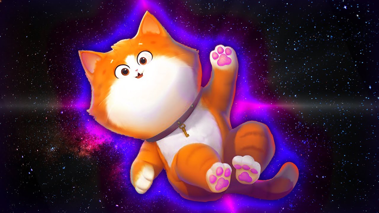 breaking space-time with cats - YouTube