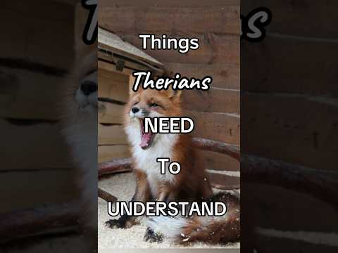 Things therians need to UNDERSTAND🐾🦊