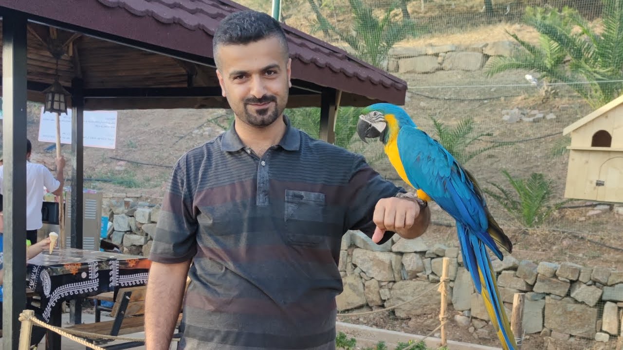 باخچەی ئاژەڵانی چاڤی لاند Chavy land zoo - YouTube