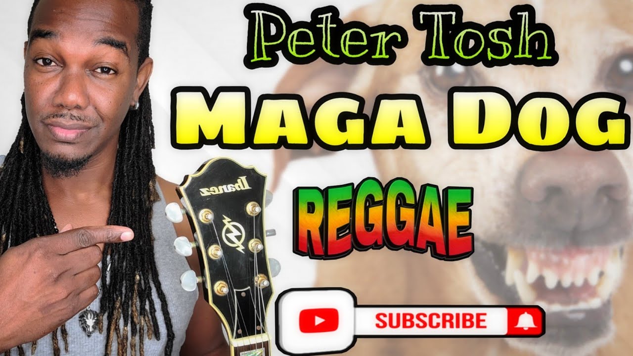 Peter Tosh - Maga Dog lesson + Tutorial - YouTube