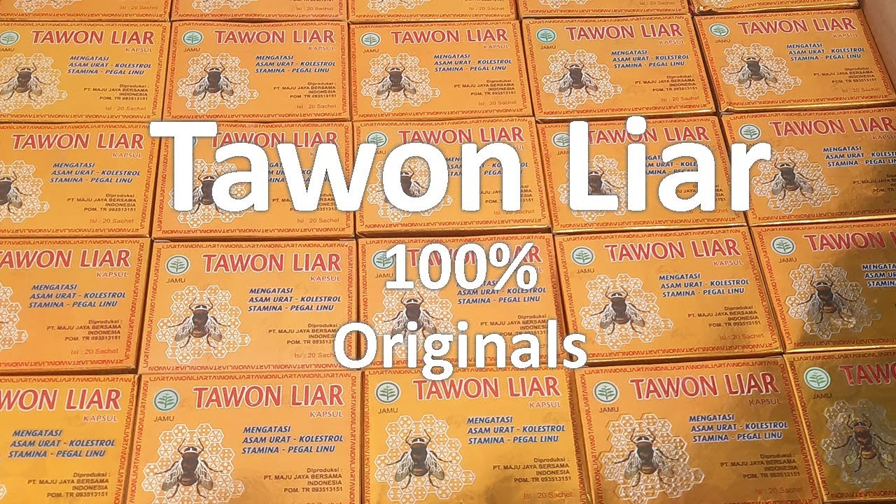 Tawon Liar Walmart - YouTube