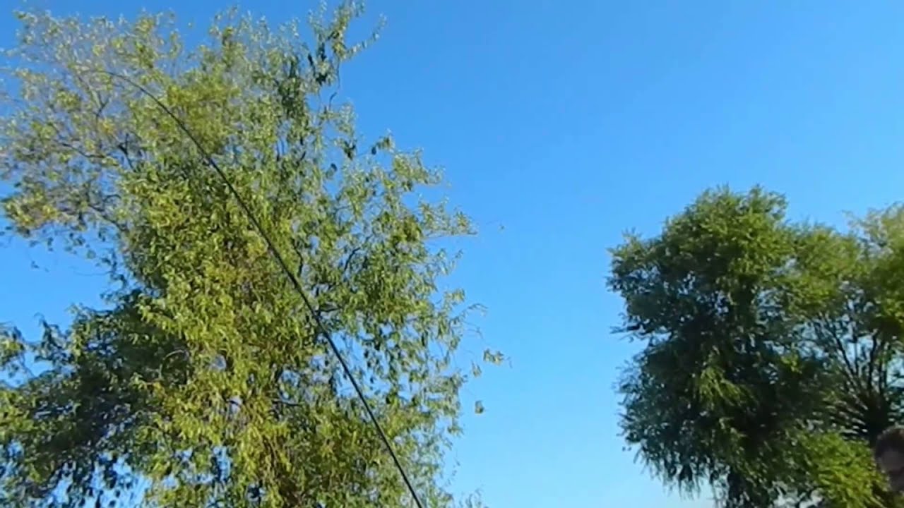 Pescuit Balta Hermes Peris 2014 - YouTube