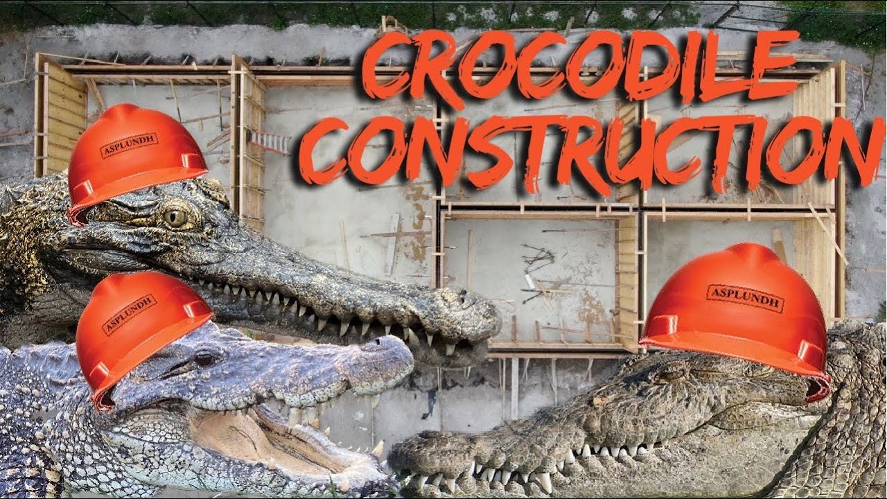 Most Expensive Crocodile Park Build! | Primitive Predators - YouTube