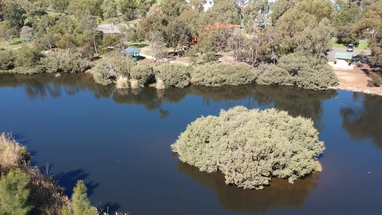 Adelaide Wetlands Virtual Field Trip - YouTube