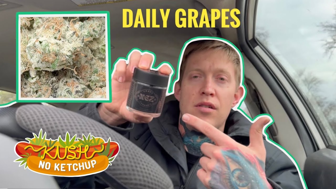 Daily Grapes Strain Review - YouTube