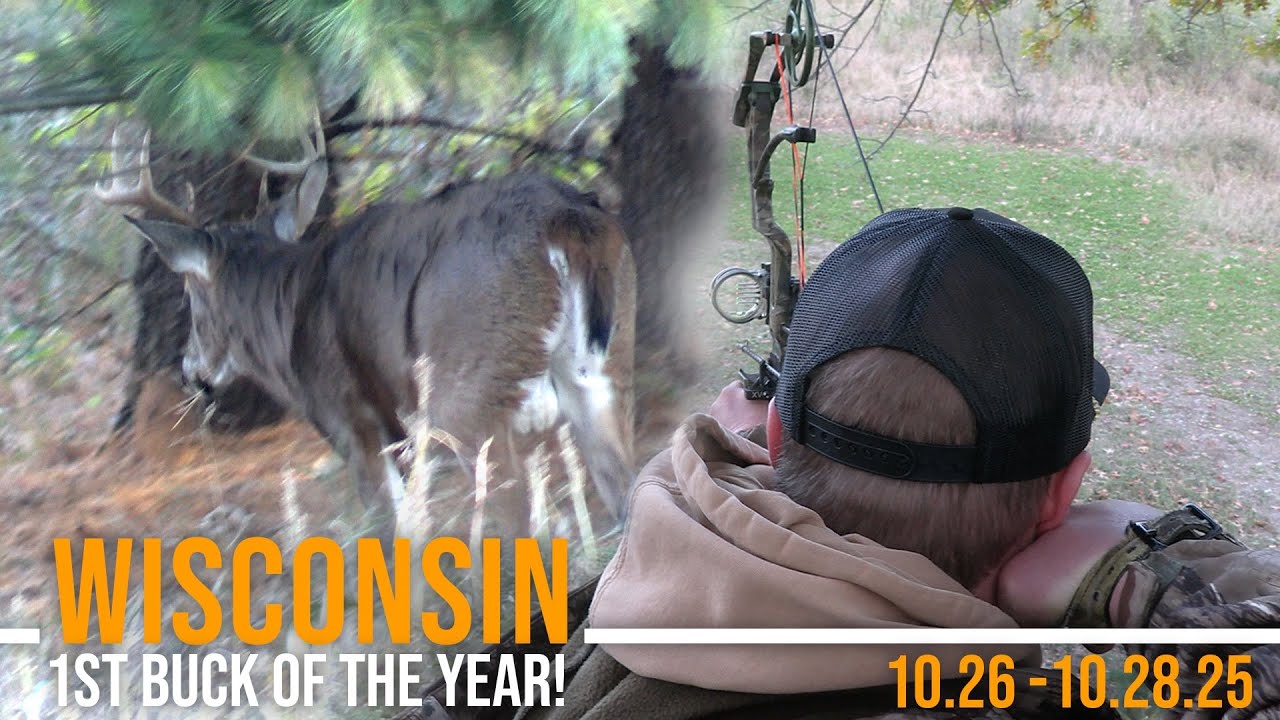 Wisconsin Bow Hunt: Daylight Bucks & Start of the Rut | Deer Everywhere ...