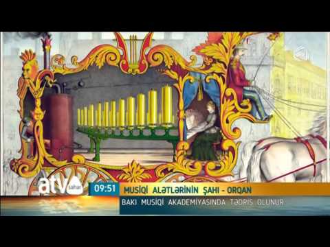 Orqan musiqi aleti haqqinda - Ifaci Sebine Orucova