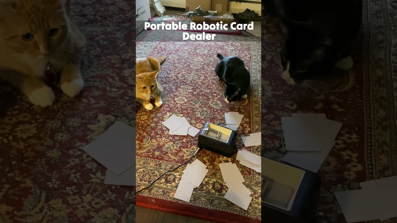 super cool card dealer poker robot 😎 #shorts - YouTube