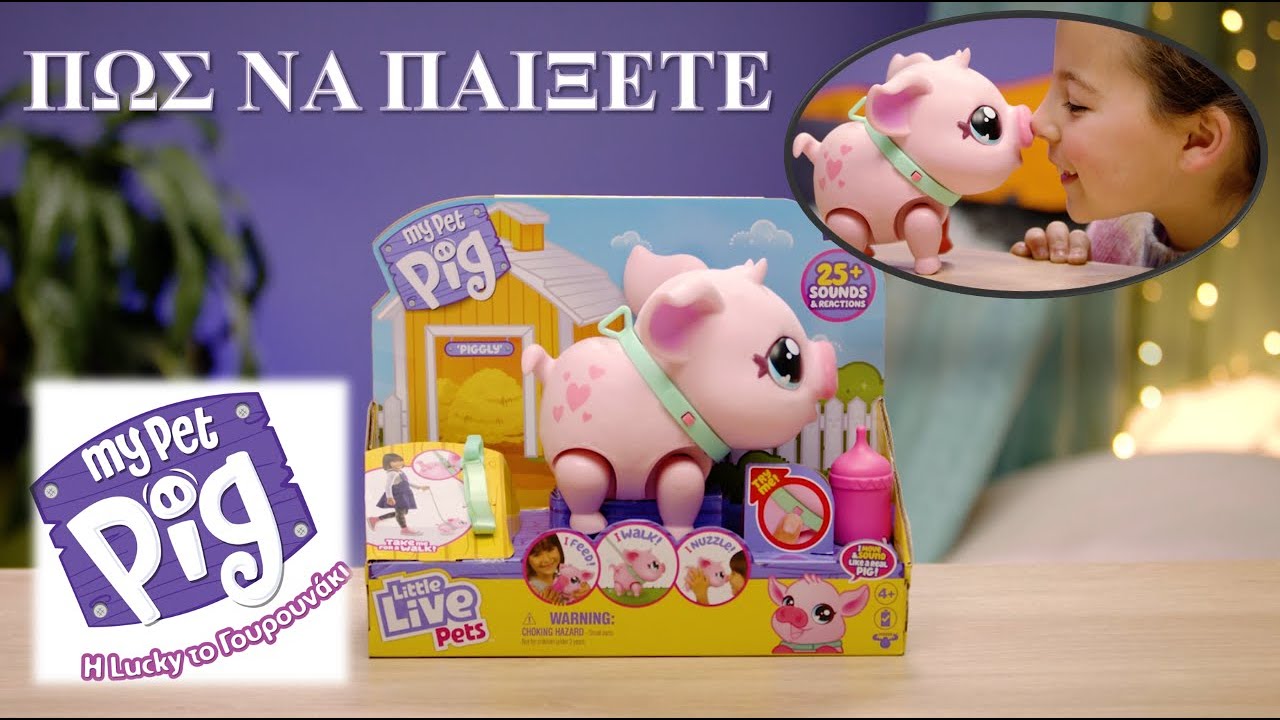 Giochi Preziosi Hellas | My Pet Pig - H Lucky το Γουρουνάκι ΠΩΣ ΝΑ ...