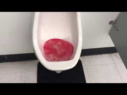 217. Big Lots! Men’s Restroom Full shoot - YouTube