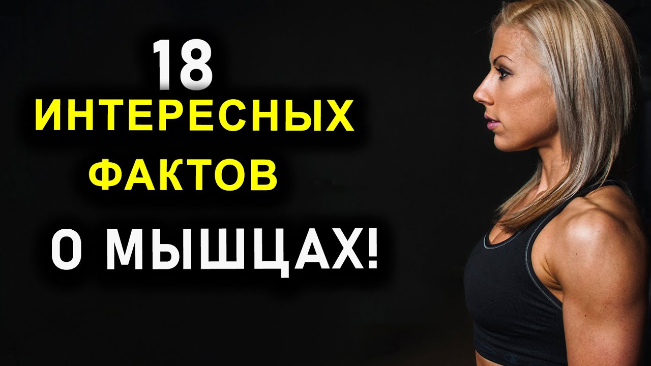 18 ИНТЕРЕСНЫХ ФАКТОВ О МЫШЦАХ Youtube