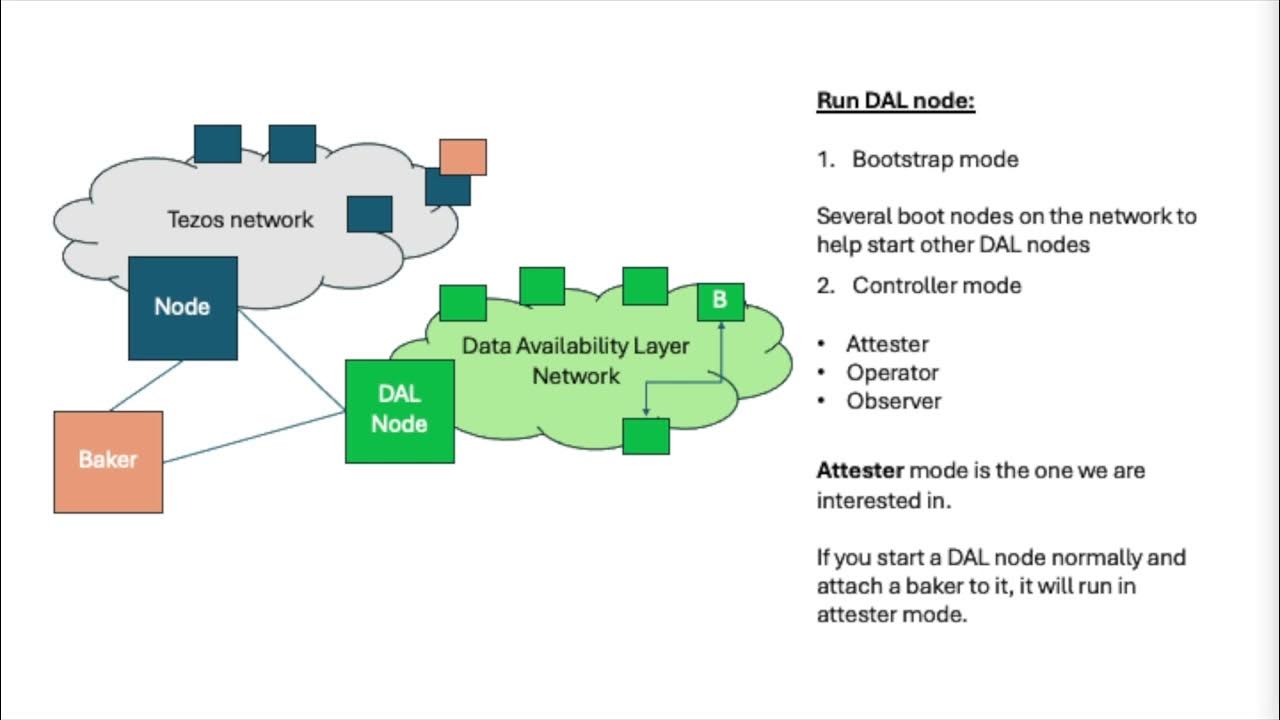 Using a DAL node with a #Tezos Baker (Reissue) - YouTube