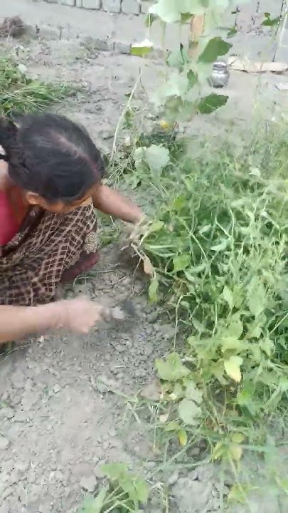 #Khushbu Khet Me Kam Karte Hue - YouTube