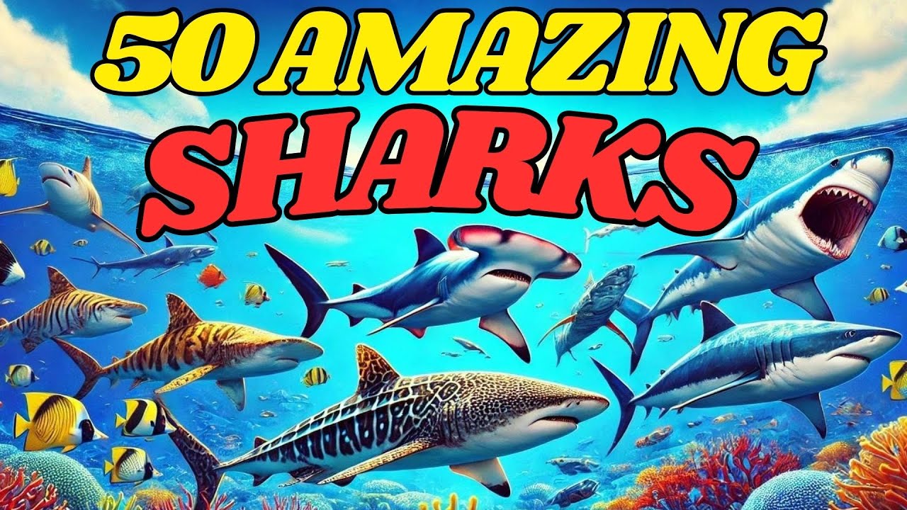 50 Cool Shark Species for Kids: Learn About Ocean Types of Sharks ...