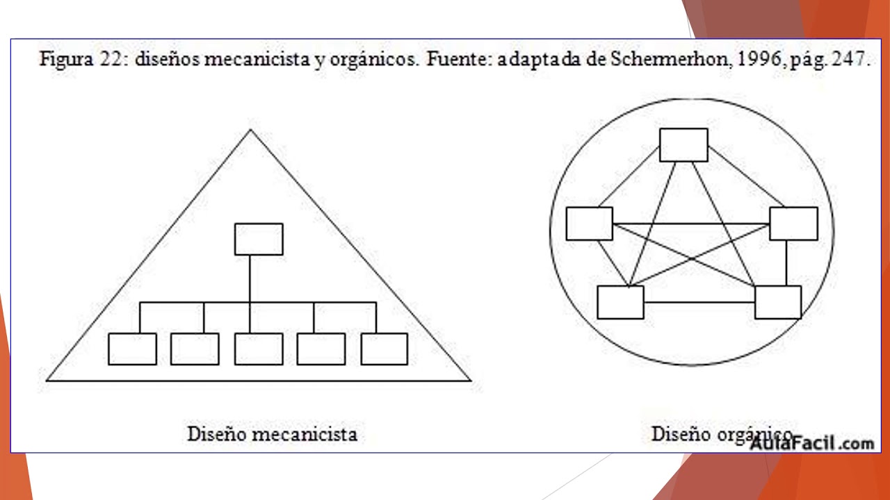 6. Estructura orgánica y mecánica. Diferenciación e integración ...