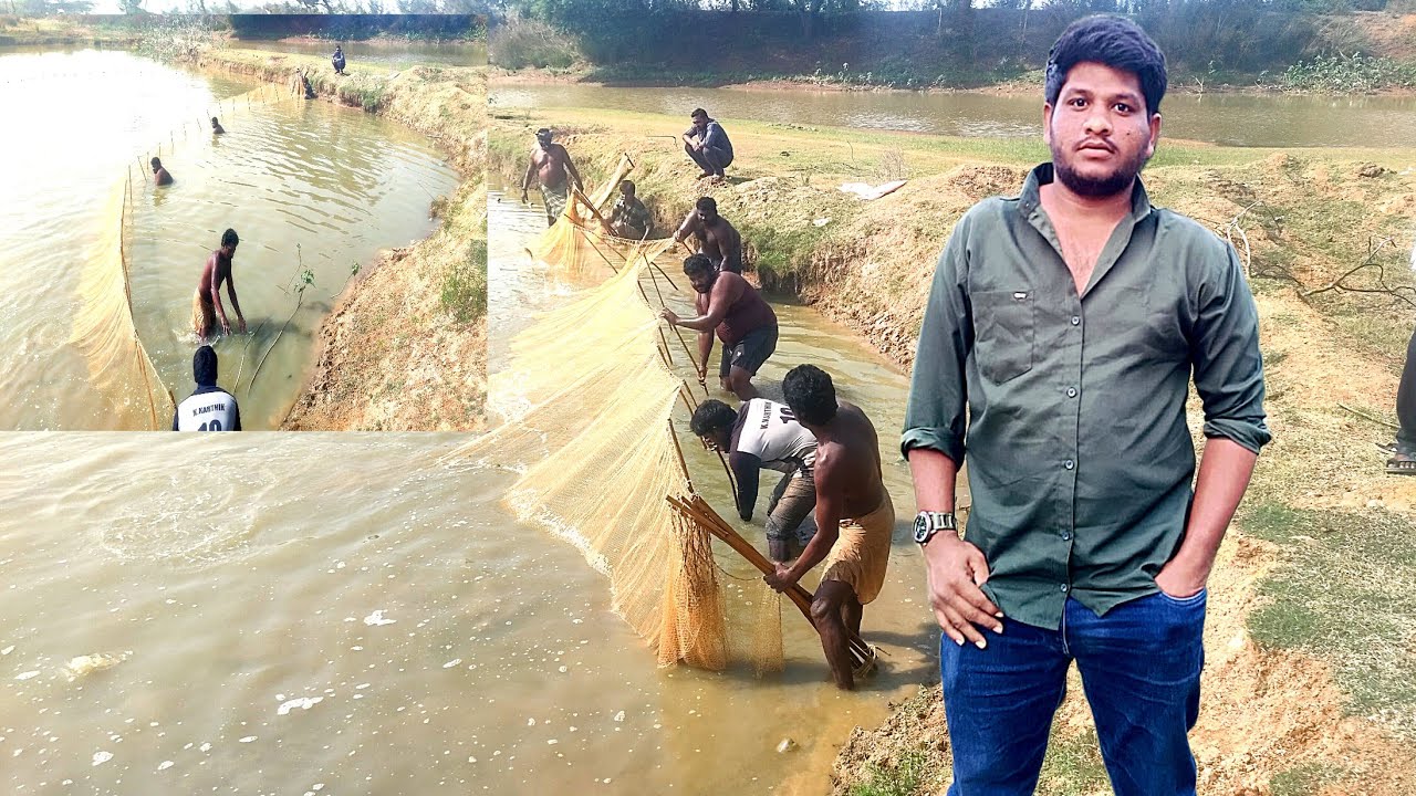 fish video |4k video ultra hd fish ,| fishing, | fish tank |Fishing ...