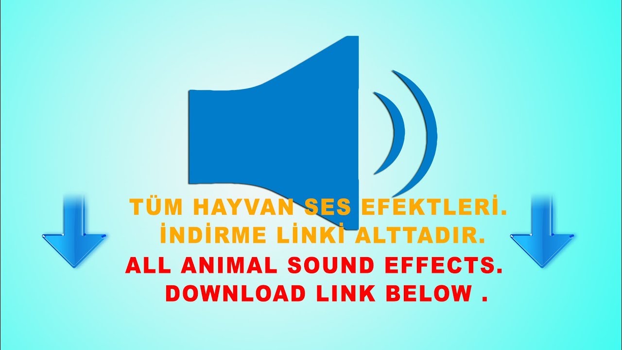 Crow Caws sound effect / karga sesi/All animal sound effeckt download ...