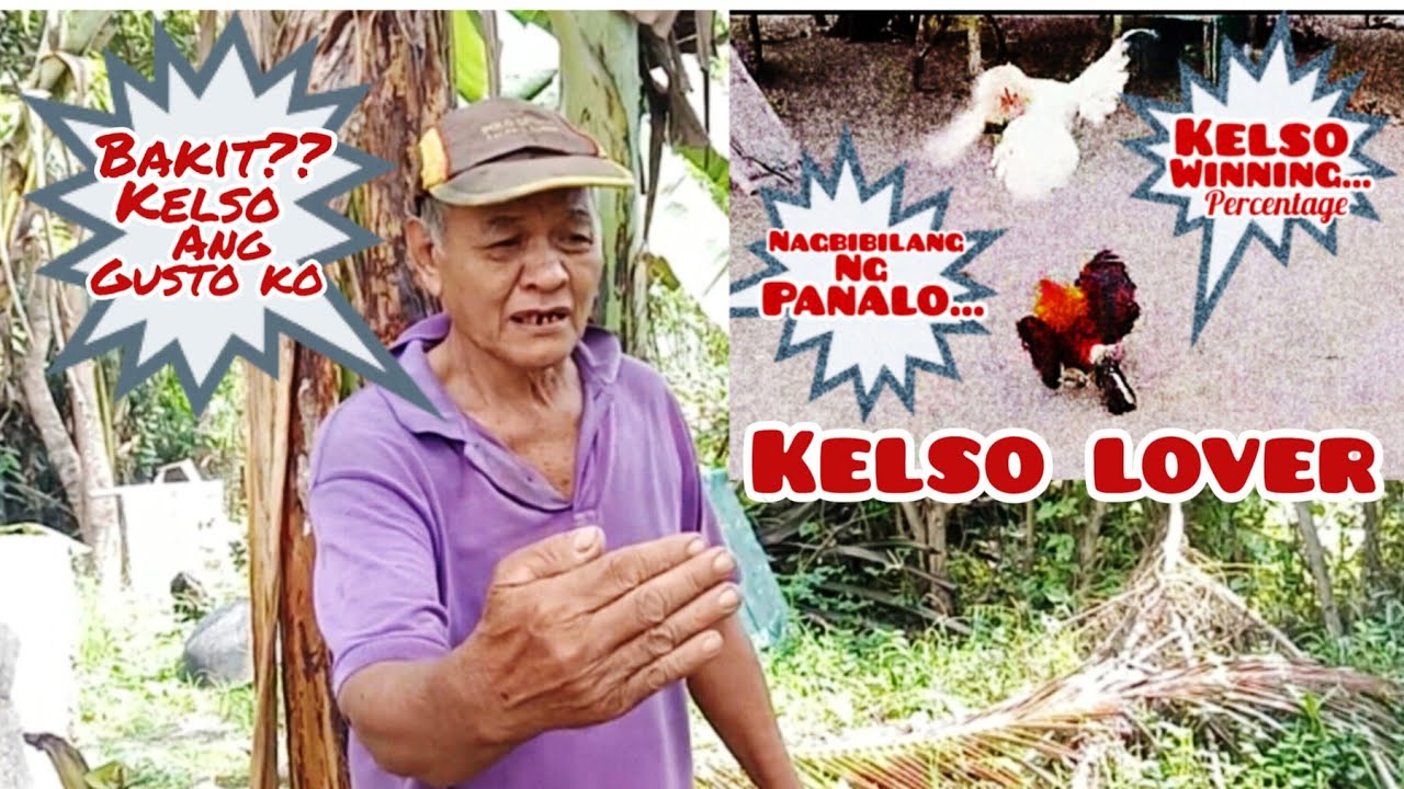 King of kelso story, (Florentino Flores a backyard breeder) - YouTube
