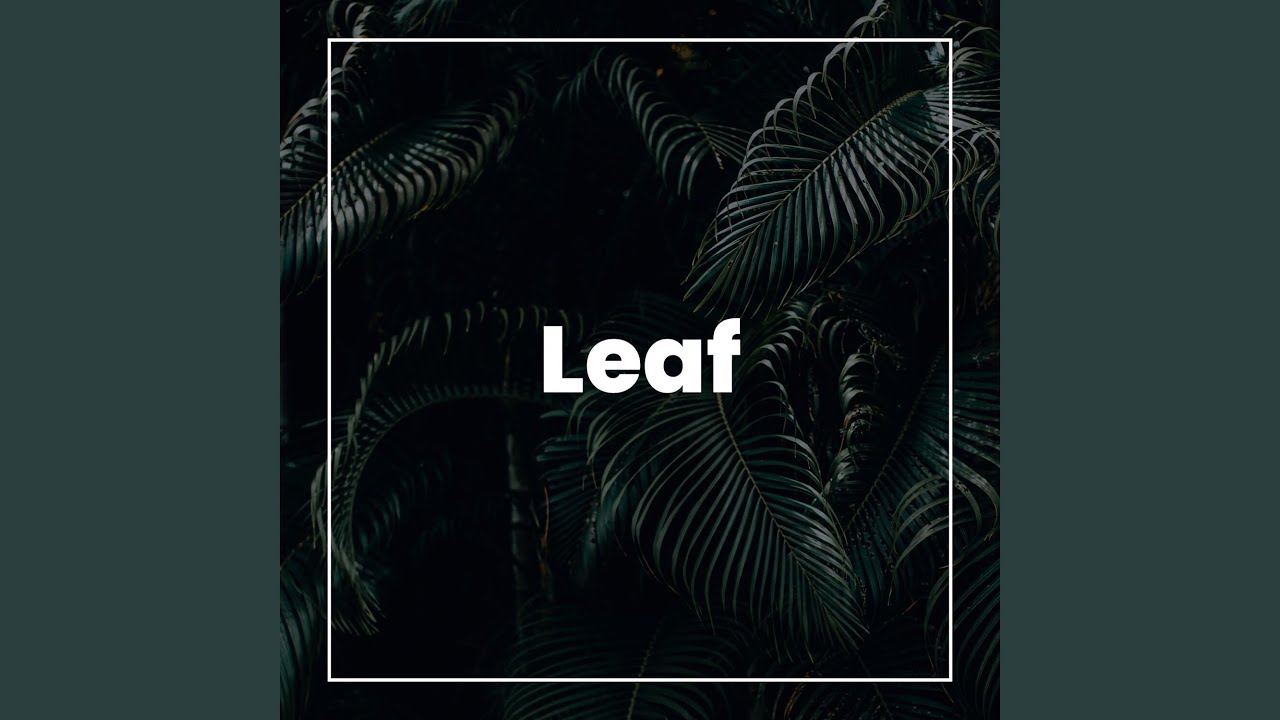 Twisted Leaves - YouTube