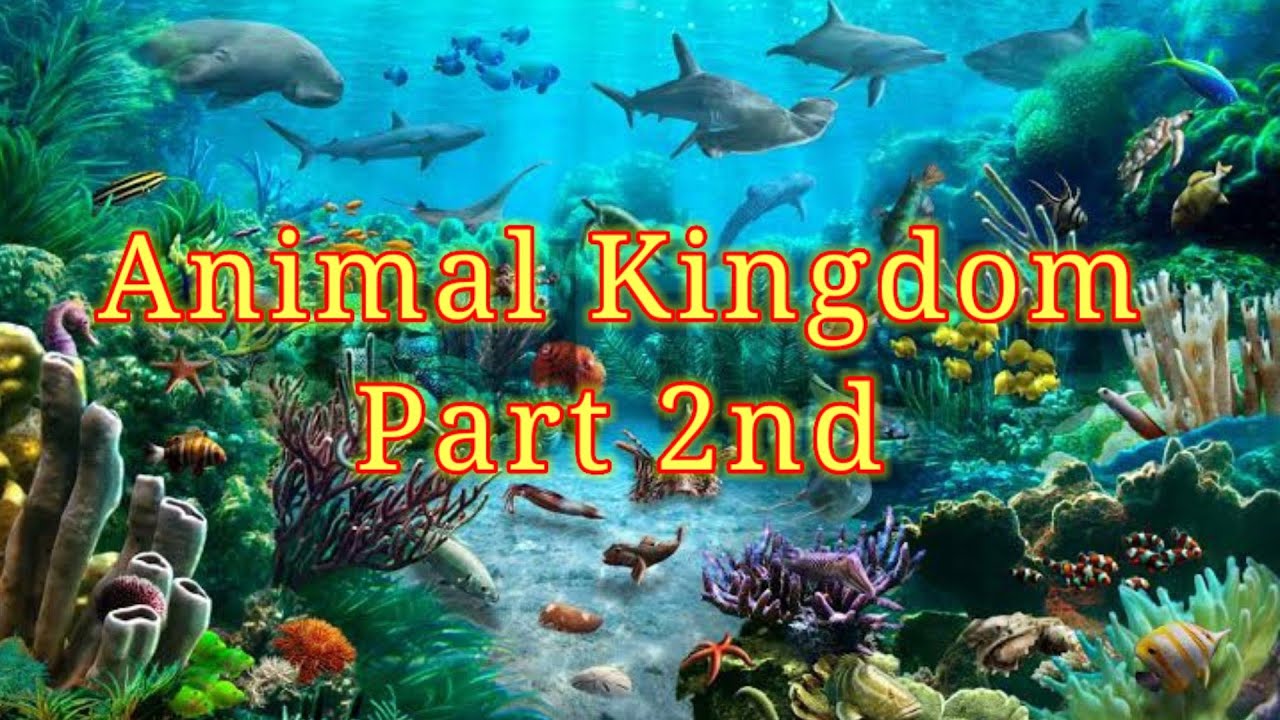 Bsc zoology | Acf zoology | CONCEPT OF SPECIES | TAXONOMICAL HIERARCHY ...