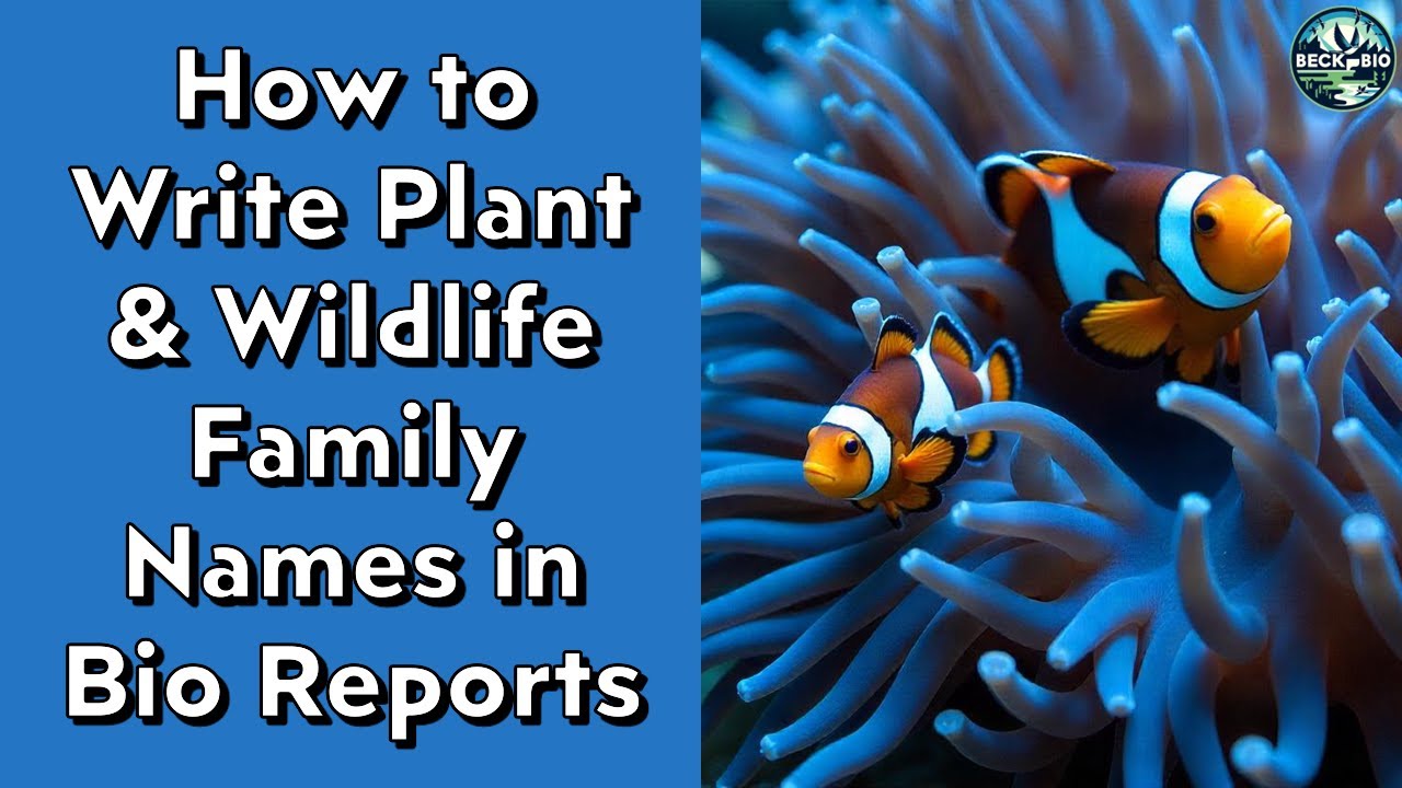 How to Write Plant and Wildlife Family Names in Bio Reports - YouTube