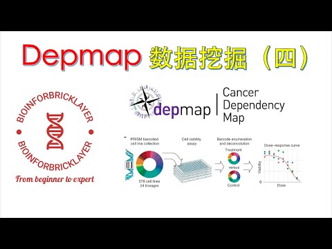 【生信进阶之路｜资源篇 05】Depmap 数据库挖掘之小分子药物筛选 - YouTube