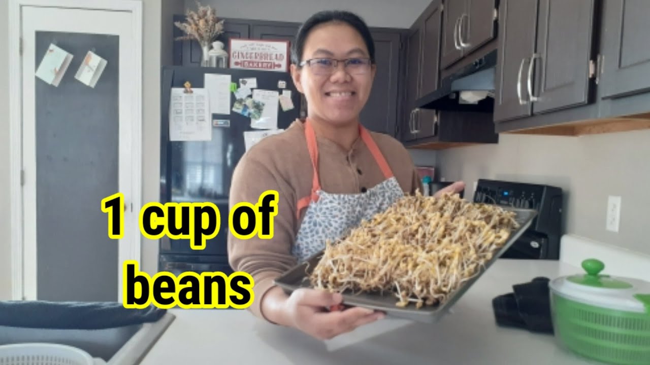 Grow, harvest, clean & cook bean sprout - YouTube