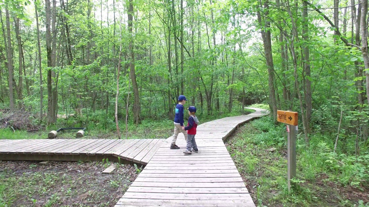Baxter Conservation Area Drone Tour - YouTube