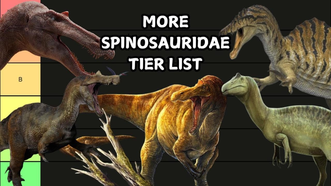 MORE SPINOSAURIDAE RANKING (TIER LIST) - YouTube