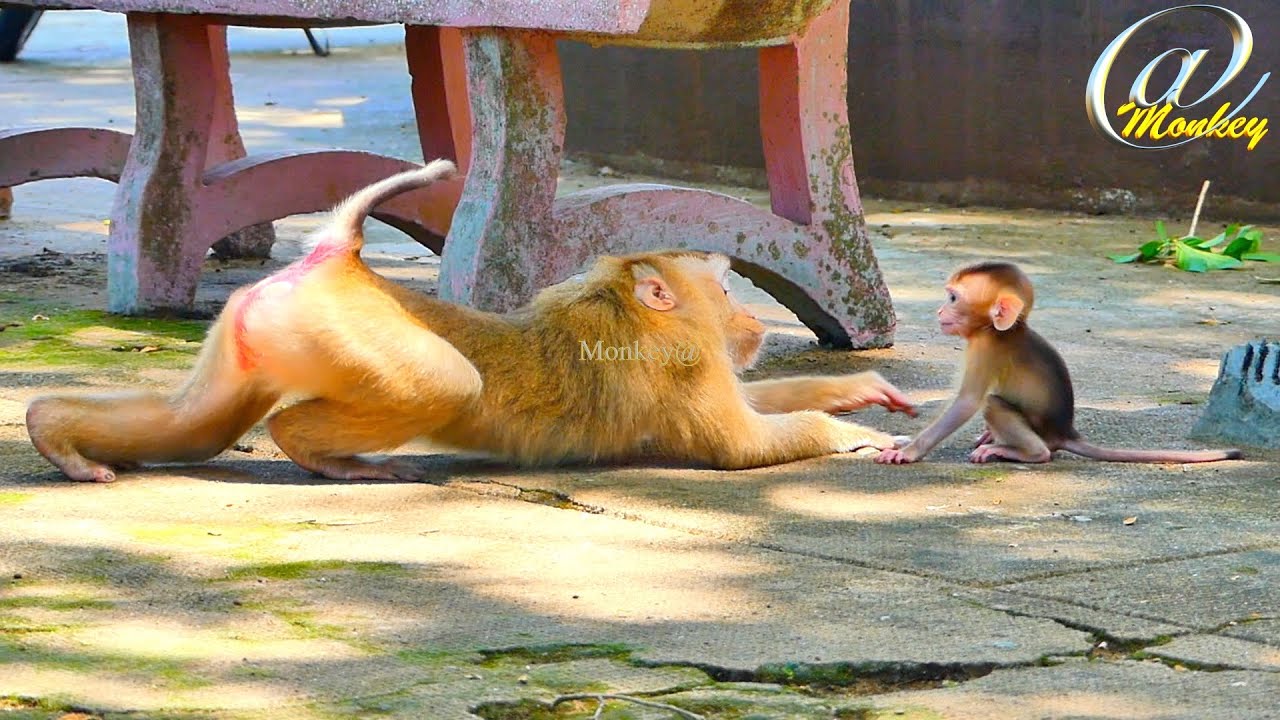 Please baby come on with Mom..! SARIKA is comforting her baby SABA to ...