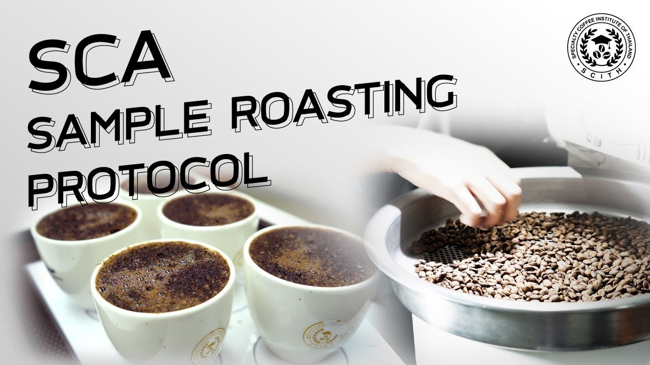 ข้อกำหนดในการคั่วกาแฟสำหรับการคัปปิ้ง SCA Sample Roasting Protocol ...