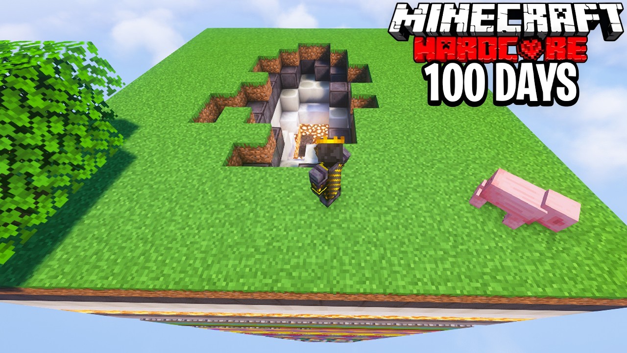 මම මේ කොටුව ඇතුලේ දවස් 100 හිටියා | I Survived 100 Days in a Random ...