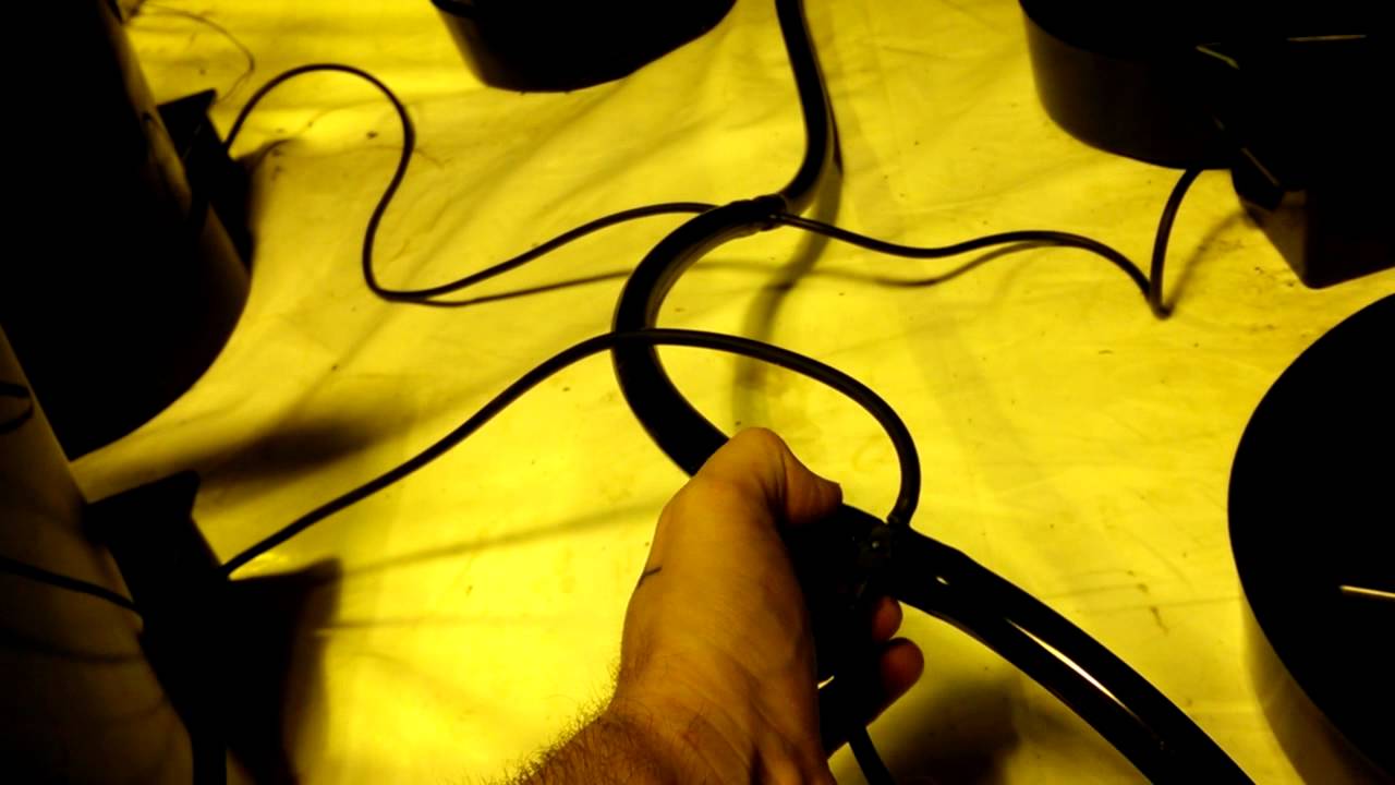 How to set up auto pot grow system Gravity fed - YouTube