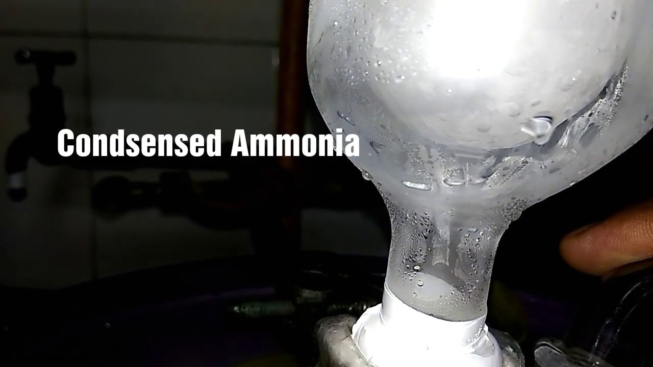 Birch Reduction Reaction| Chemistry Lab experiments| performed and ...