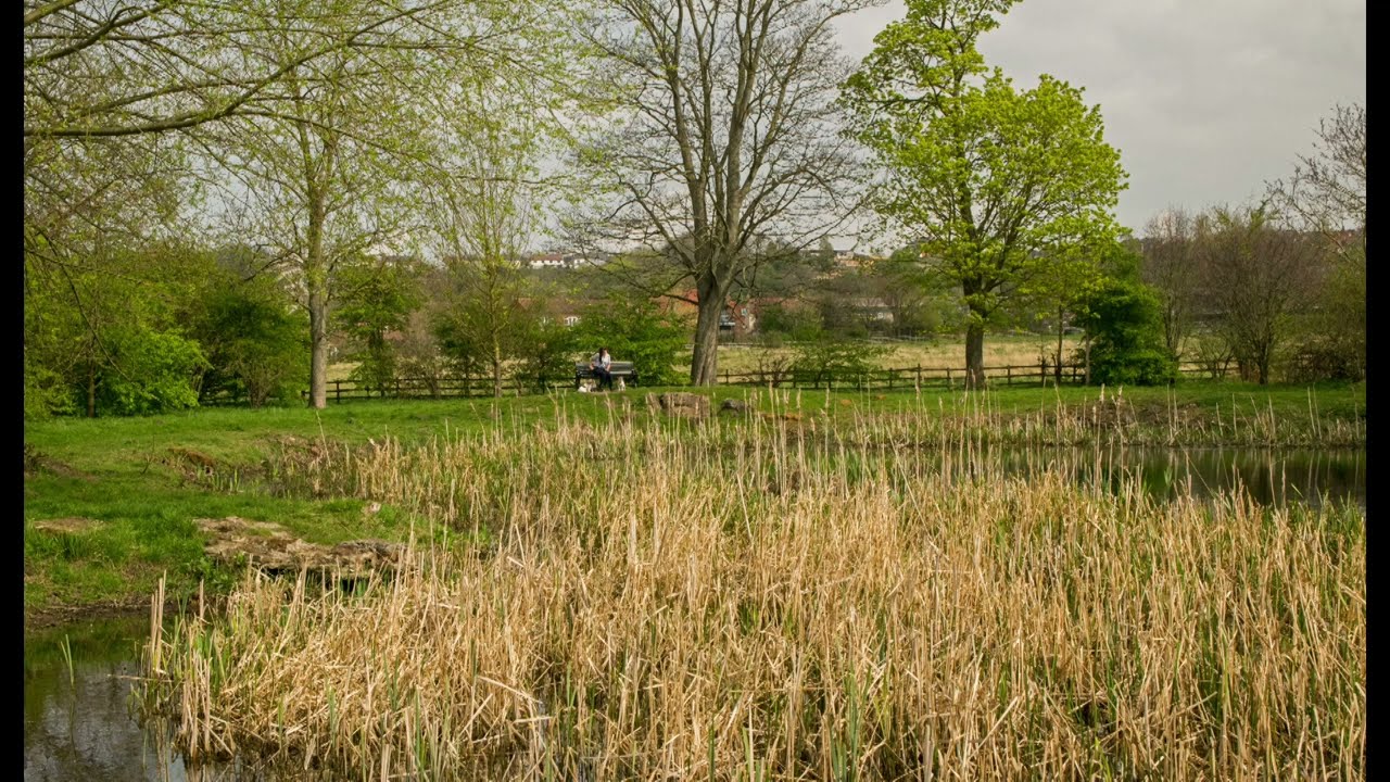 West Common Ornamental Pond - Then and Now - YouTube