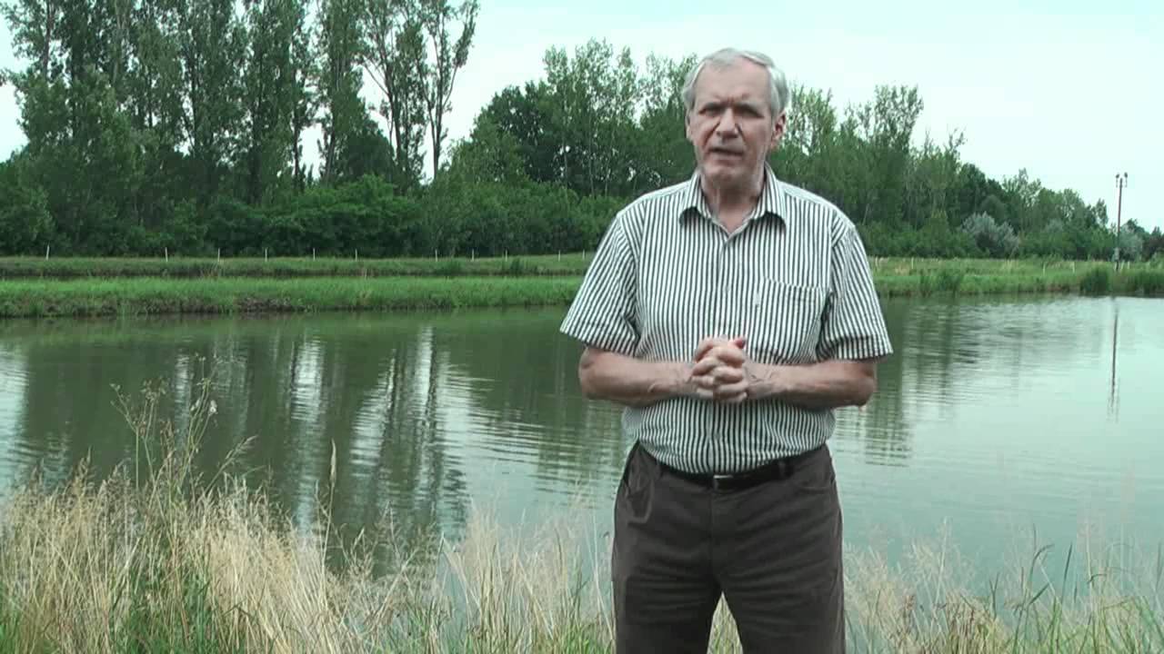 dr. Váradi László - Édesvízi akvakultúra - YouTube