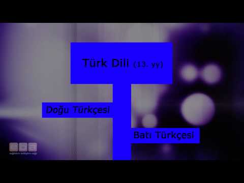 Türk Dilinin Tarihi Gelişimi 2