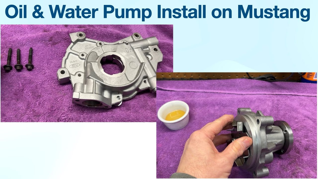 Mustang Oil & Water Pump Install (Part 13) - YouTube