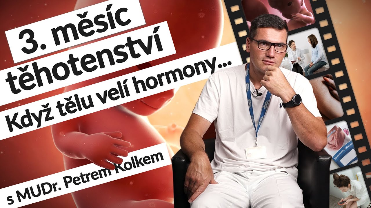 3. měsíc těhotenství (9.–⁠13. tt) | Těhotenství týden po týdnu| # ...