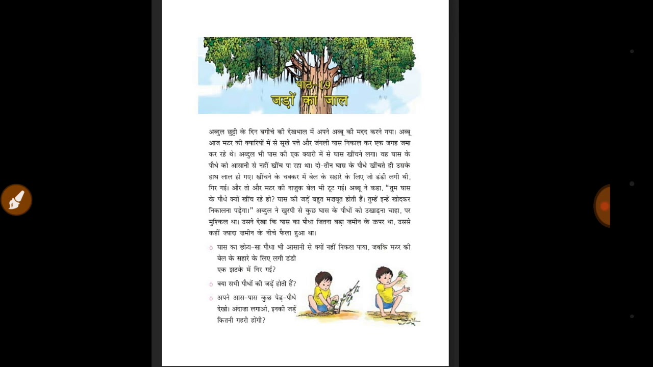 NCERT EVS class 4 chapter 19 जड़ो का जाल । हिंदी में देखें। - YouTube