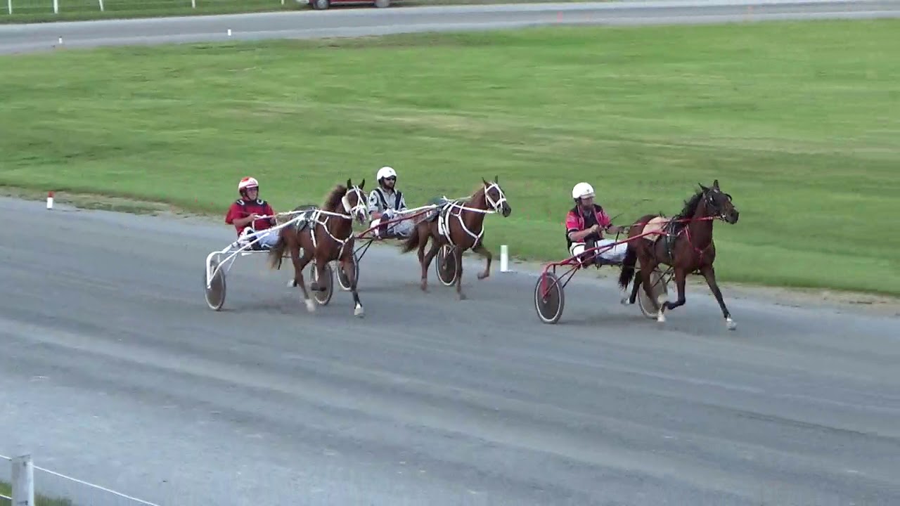 Nappanee Raceway 6-12-20 Dontmissthatjoke wins in 1:42 - YouTube