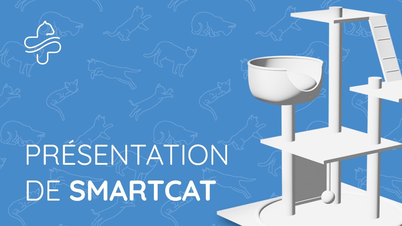 Présentation de SmartCat - YouTube